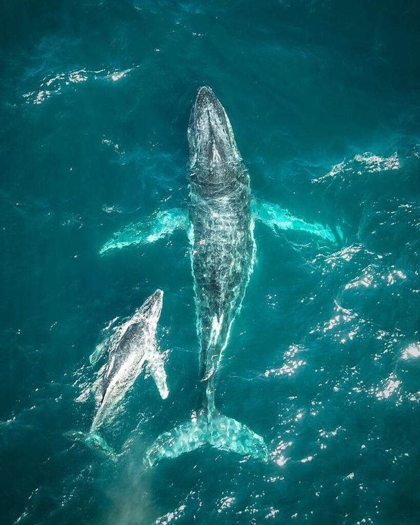 8 Great Discover Tonga: The Kingdom of the Friendly Islands - Adventure ...