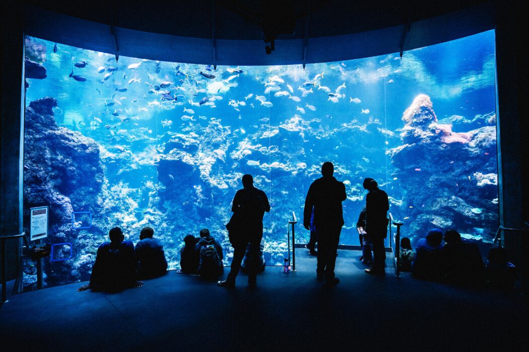 Unique Aquariums: Explore The World's Largest Aqua - 8 Great