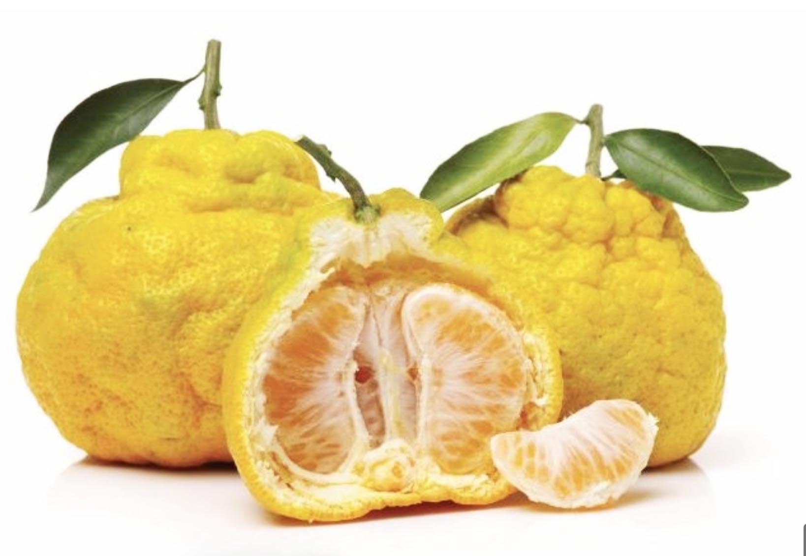 Unusual Fruits by Fruitful Discoveries - Unveiling 12 of...