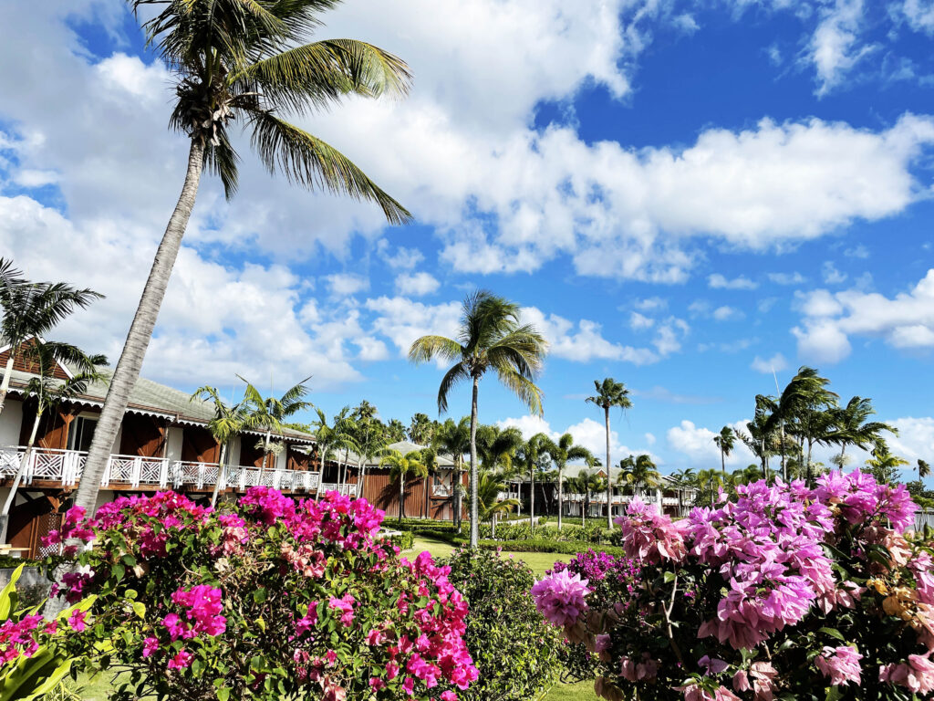 Nevis: Discover Tranquility + 8 Things to Do and See on...