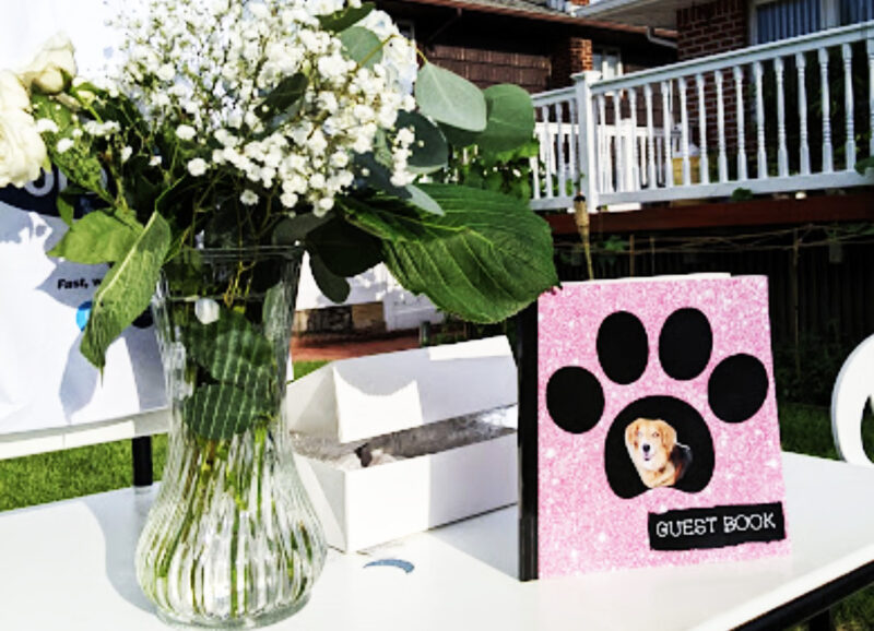 Best Bark Mitzvah Ideas to Paw-ty Like a Pro: A Guide to 15