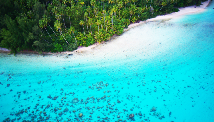 Moorea: Discover the Breathtaking Beauty and 4 of My Tips...