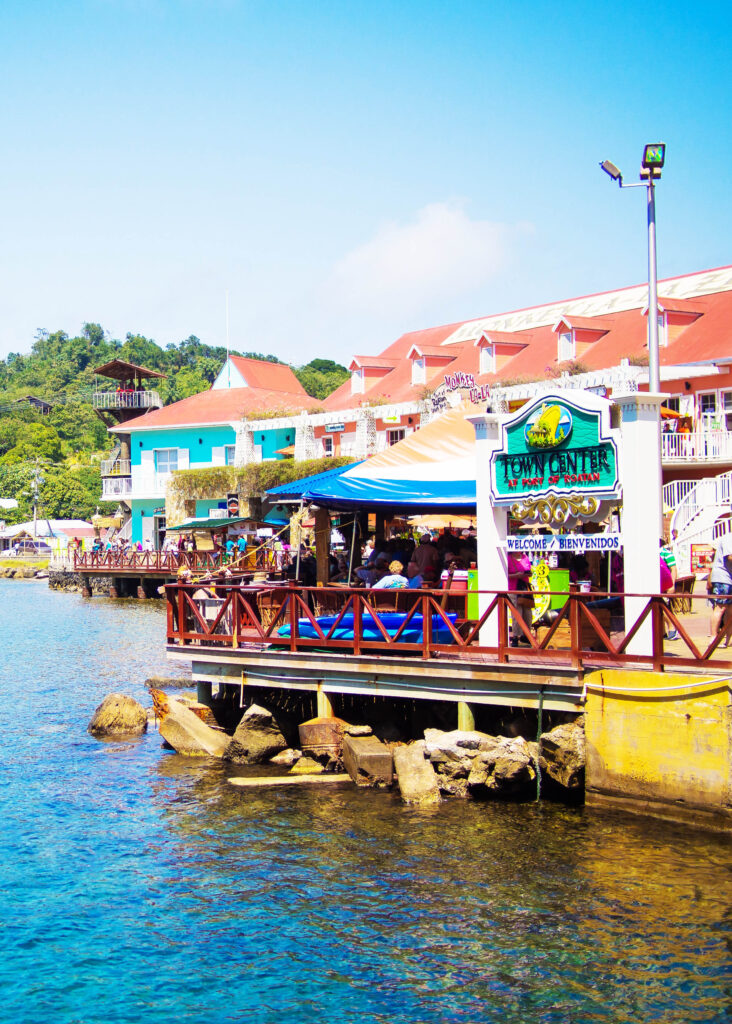 Roatan: From Dolphins to Ziplines on Caribbean's... 5 Fun