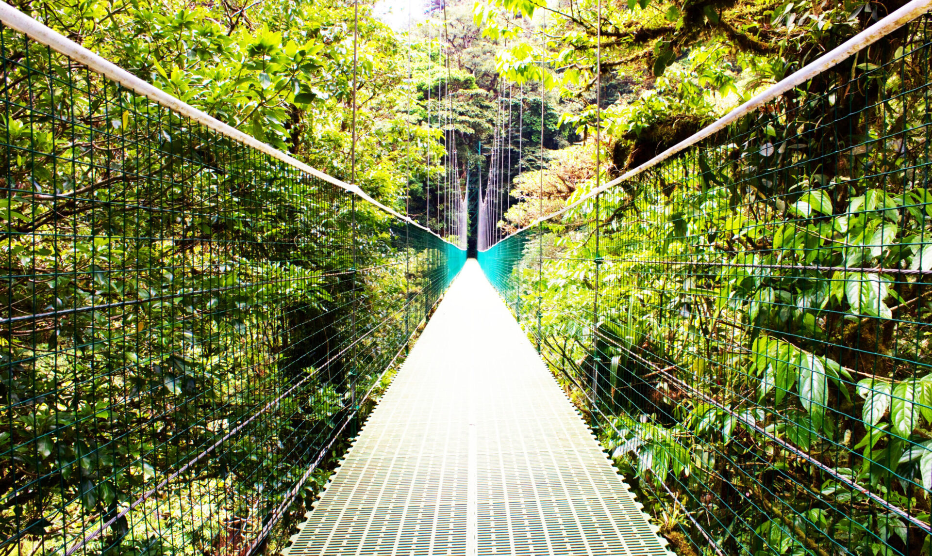 11 Best Bridges: Swing into Action for Epic Tarzan-tastic...
