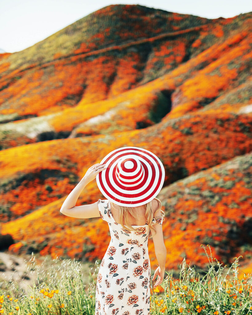Get Ready to Pop by These 5 Poppy Paradises and Let the Good
