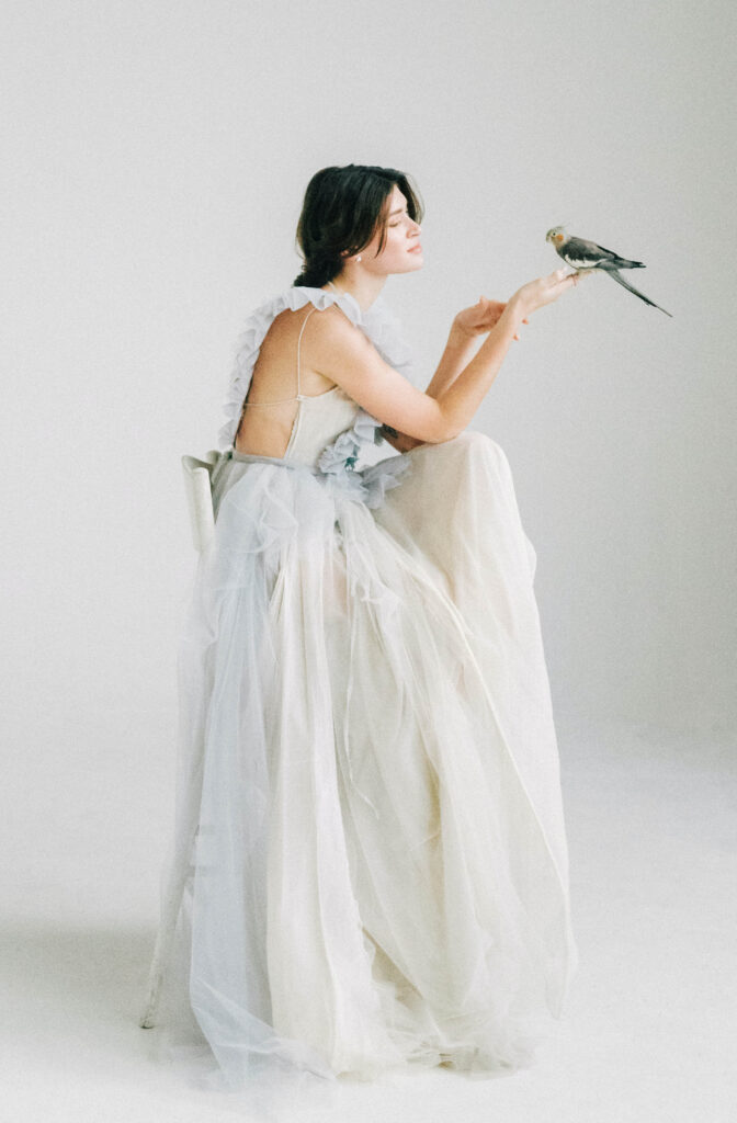 Birds: Feathered Friends 101: A Guide to Avoid Tweet Dis...