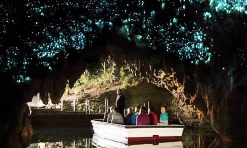Glo-Worthy Waitomo Caves: New Zealand's Glow with the Flow 6