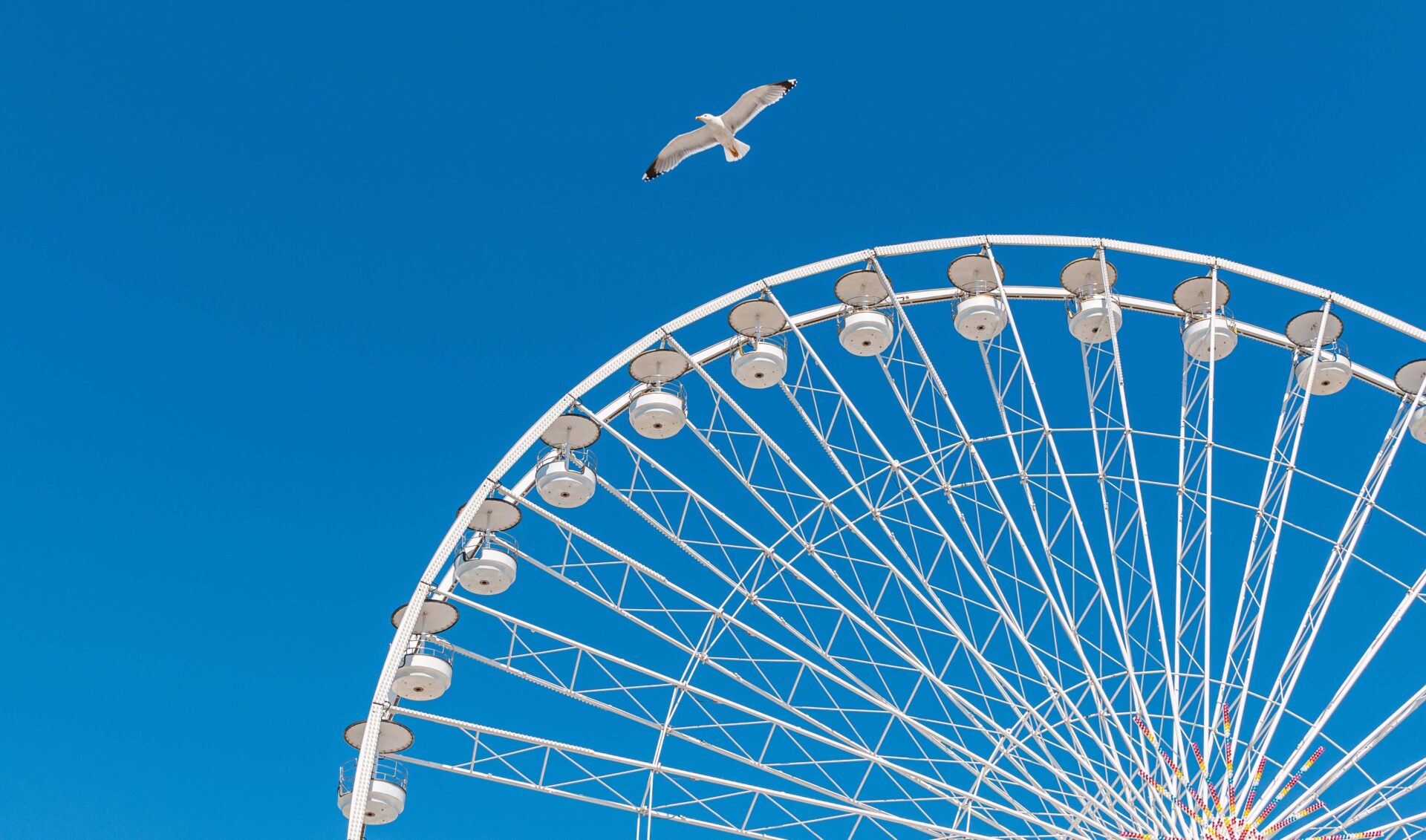 Fun Ferris Wheels: Spin Your Way to Skyline Bliss - Top 14