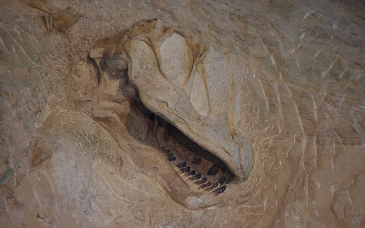 Dinosaur Family Adventures: Dino-Mite! Explore the 8 Great