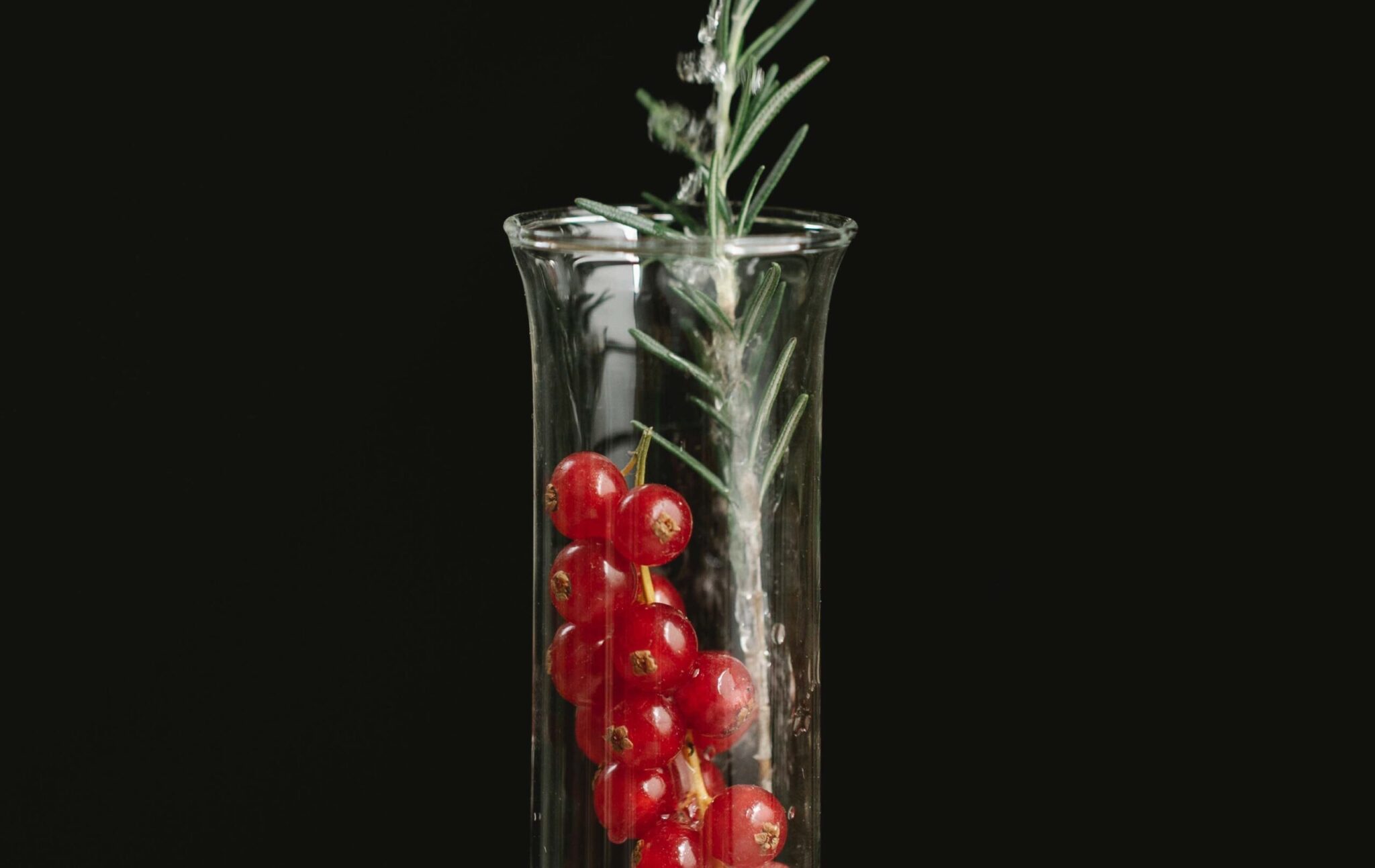 Champagne with Red Currants Recipe for Sparkling - 4 Easy