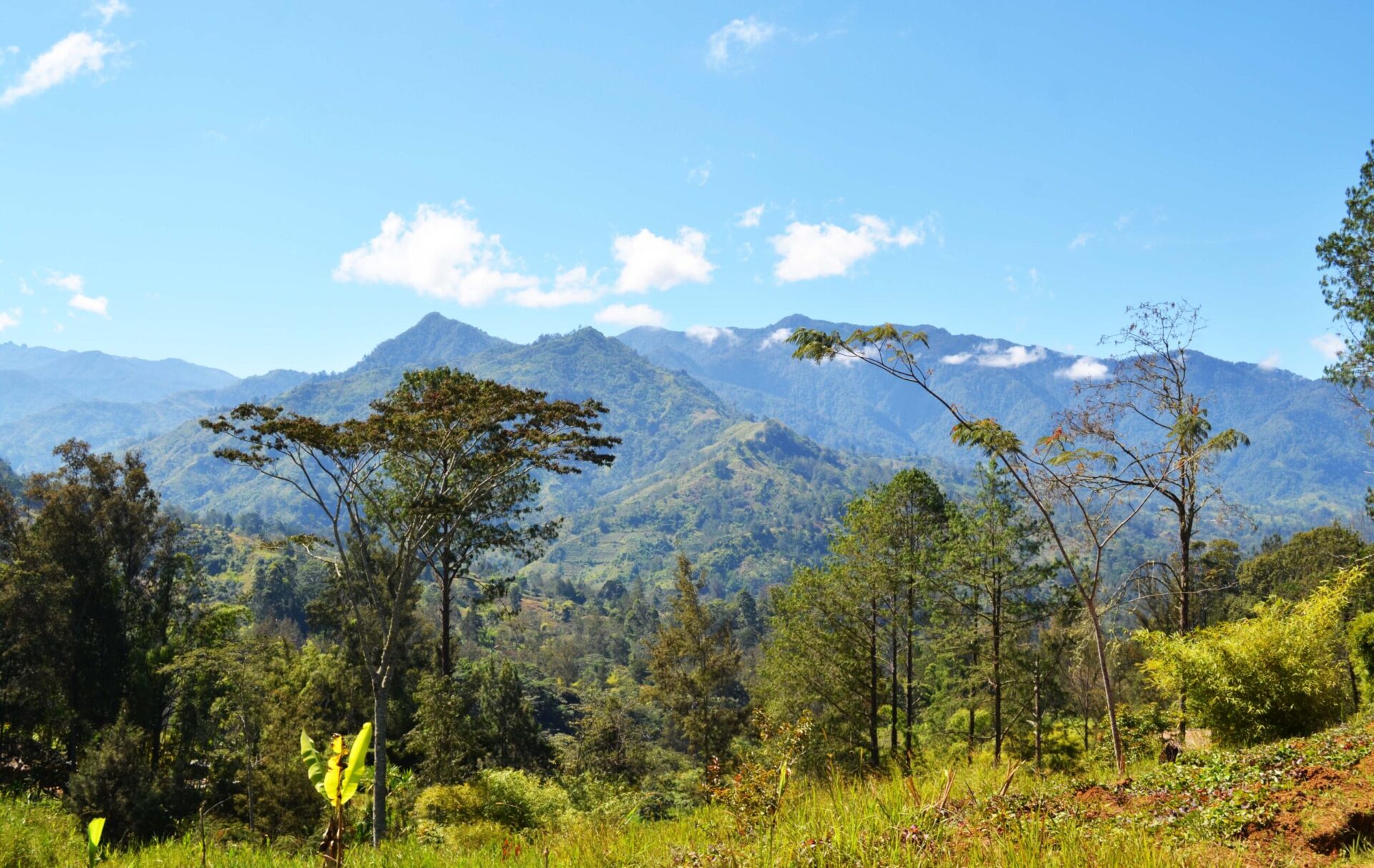 Papua New Guinea: Top 11 Things to Do and See in This