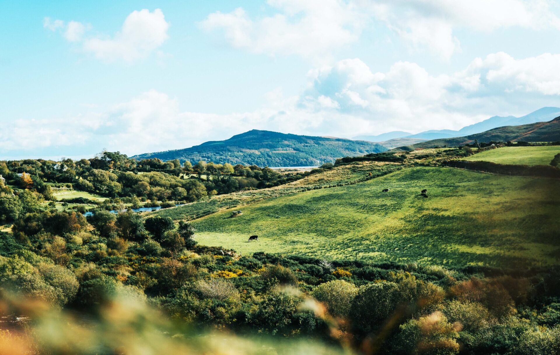 Ireland Adventure Road Trip: Discover the Craic- Best 5-Day
