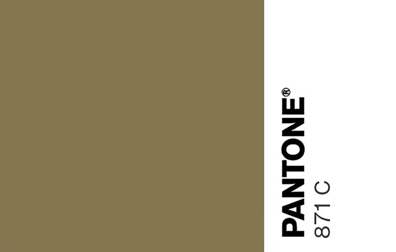 Power Colors: Cosmic Palette for 12 Best Astrological Signs