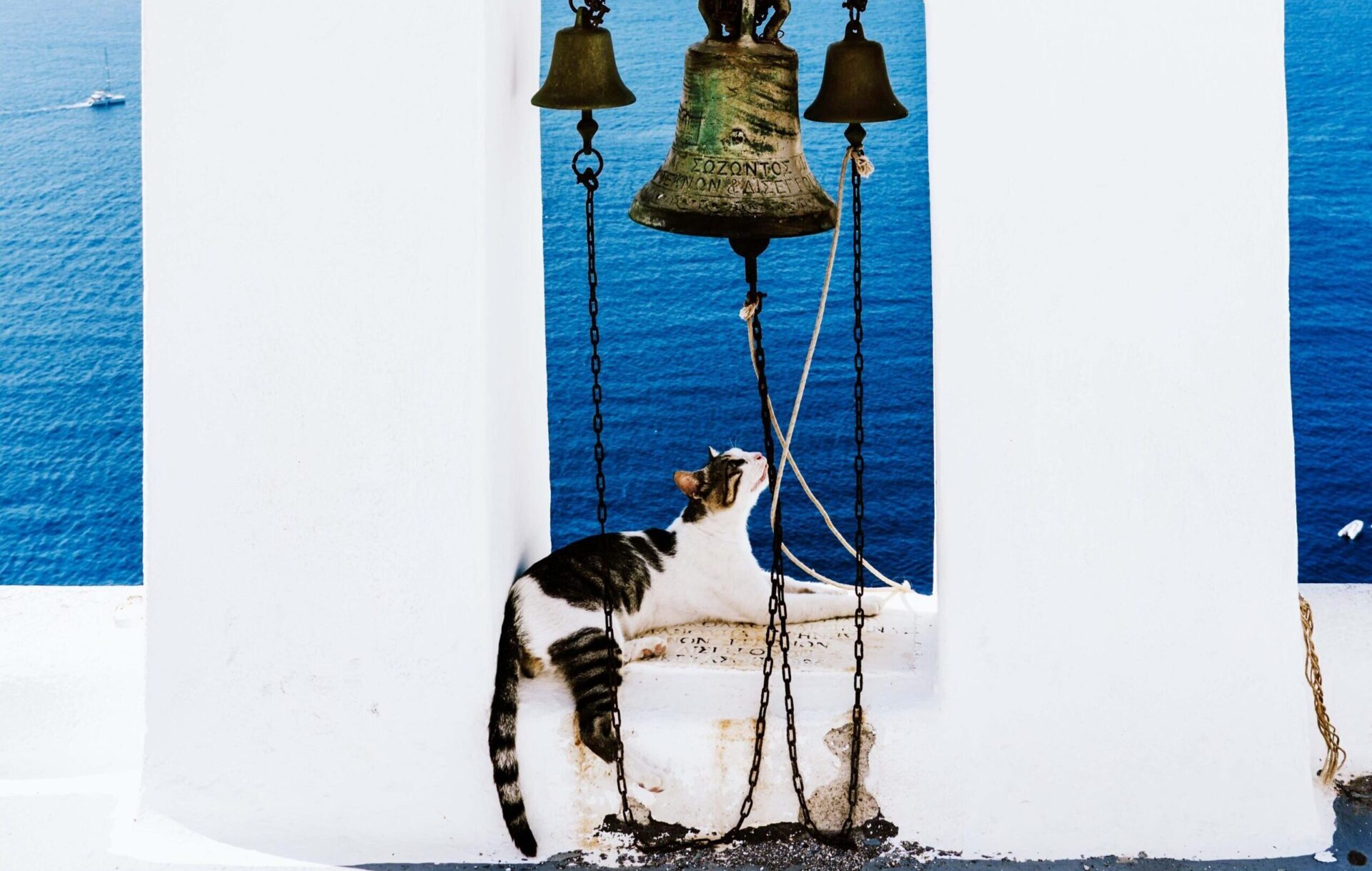 Cat Islands of Greece: Fur Real with Purr-fect 7 Best Greek
