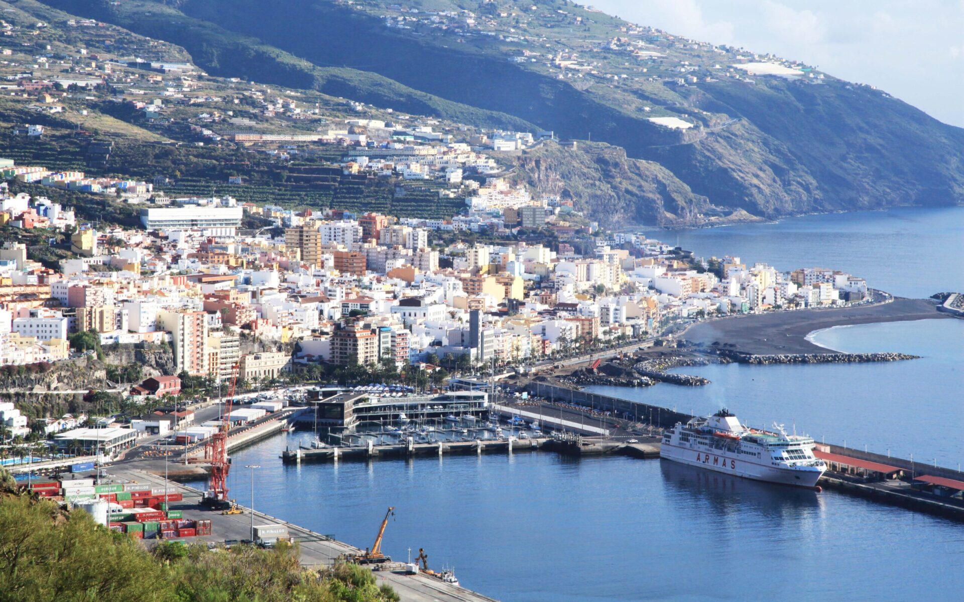 Canary Islands: Where Every Day's Bird-iful Adventure 9 Best