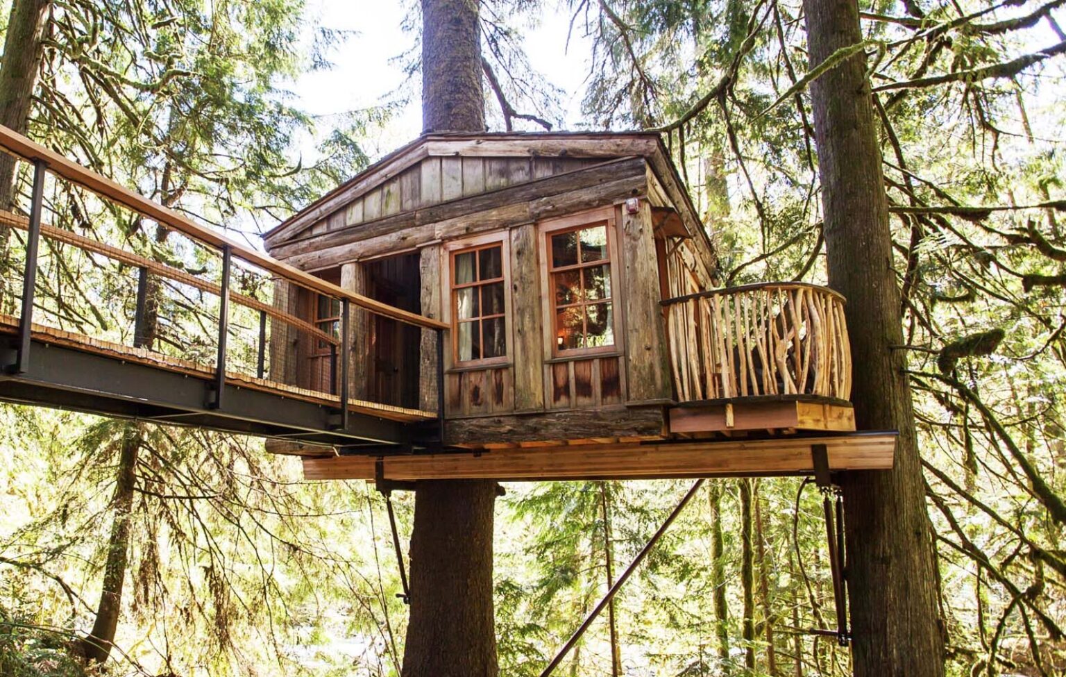 Treehouse Hotels Branching Out: 11 Best Tree-mendous Places