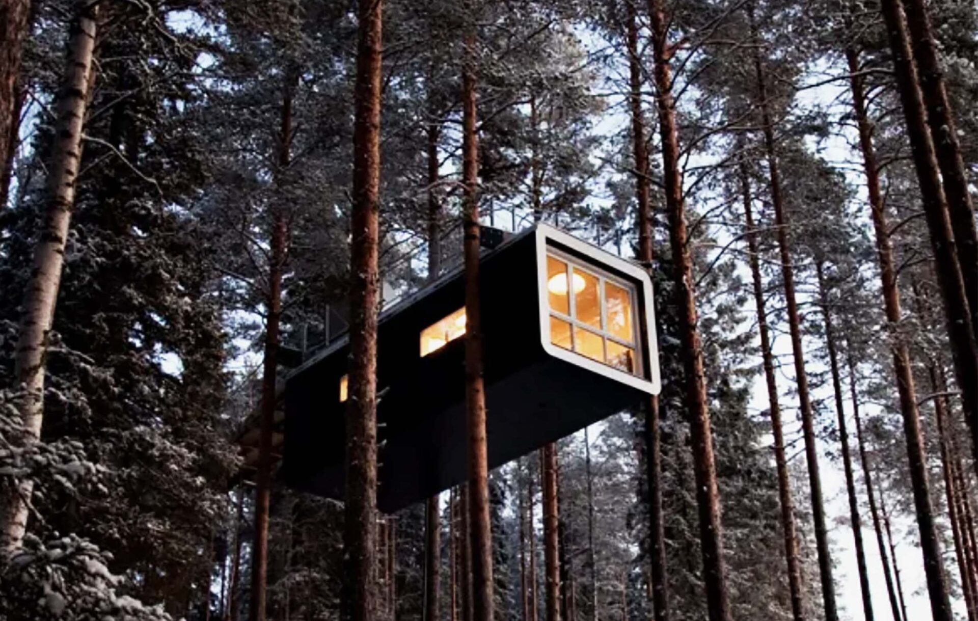 Treehouse Hotels Branching Out: 11 Best Tree-mendous Places