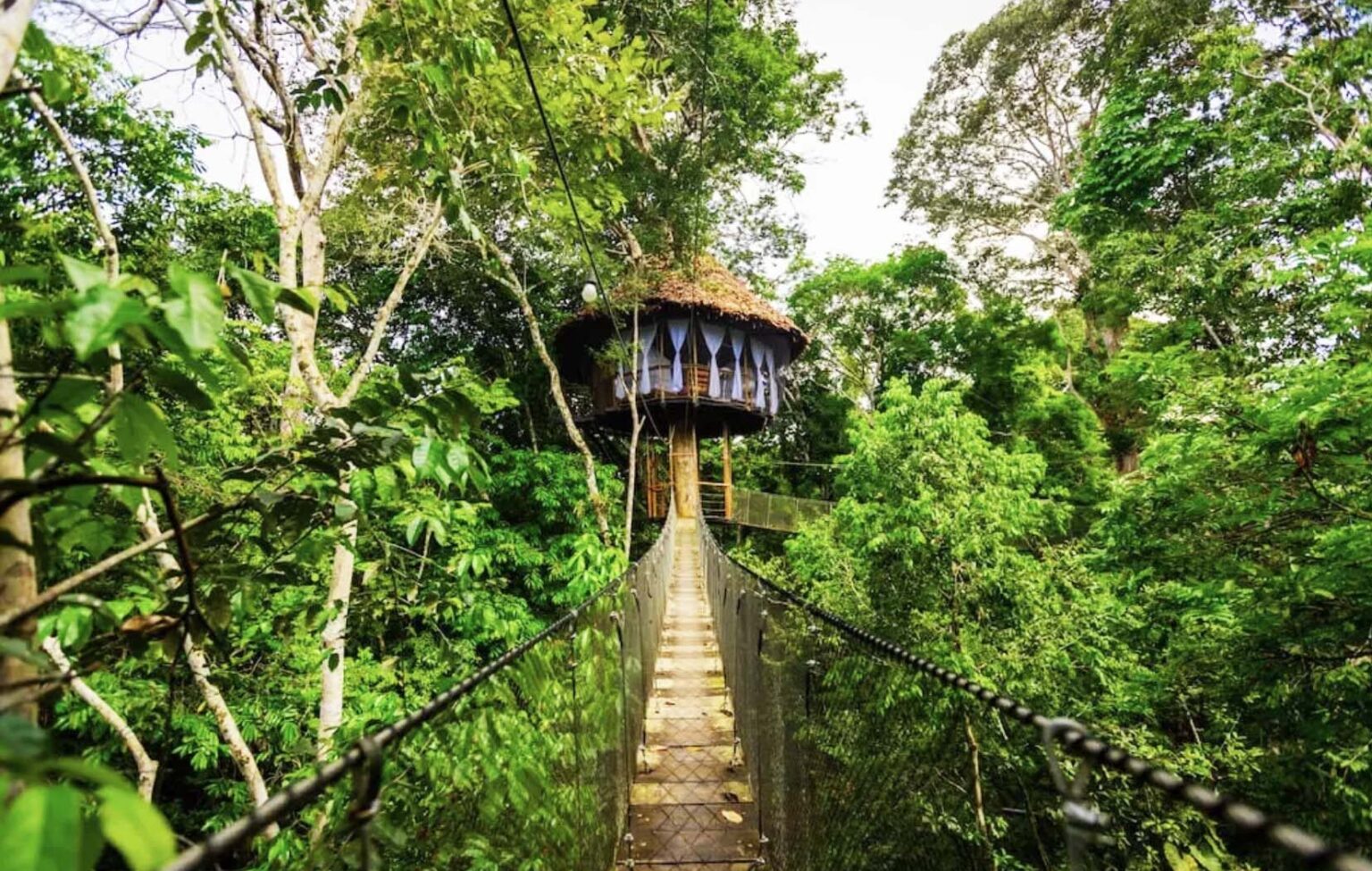 Treehouse Hotels Branching Out: 11 Best Tree-mendous Places