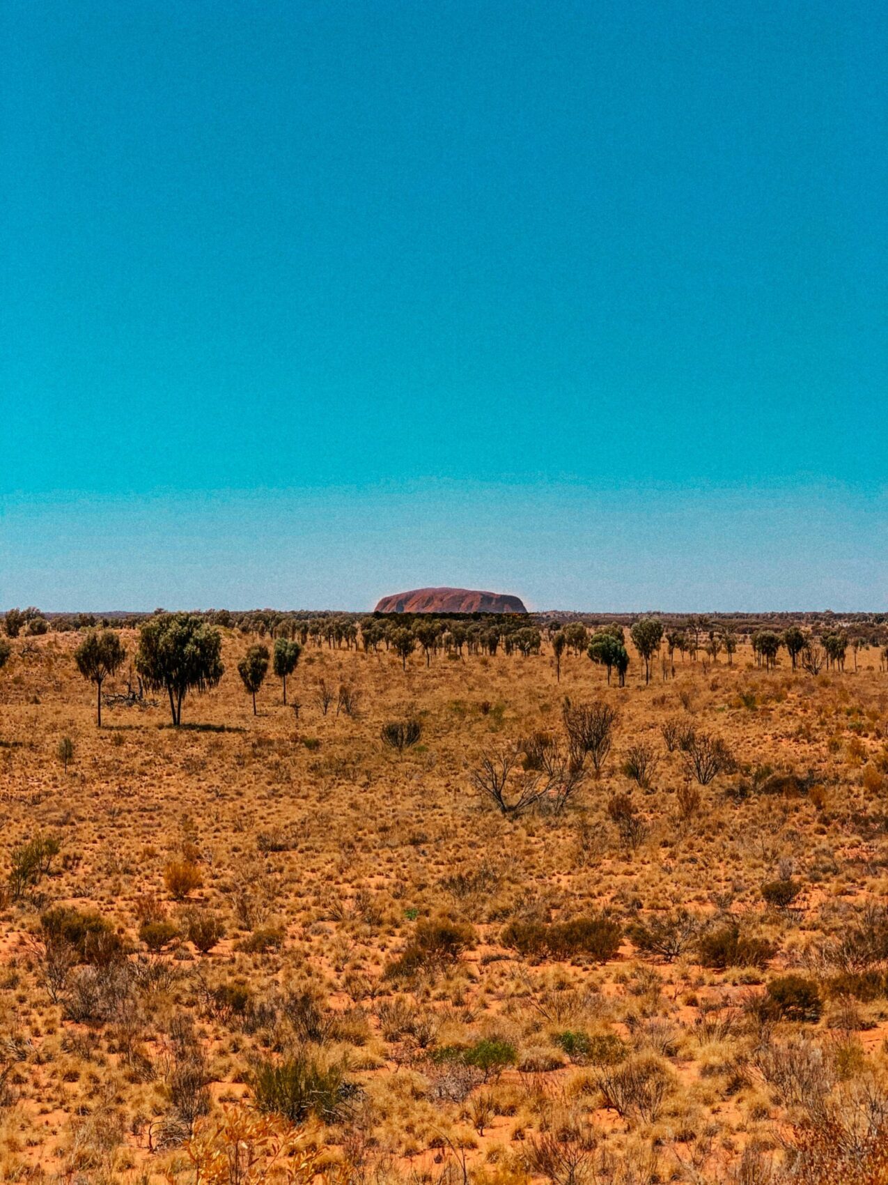 Outback Odyssey: 4 Epic Days of Wild Encounters in...