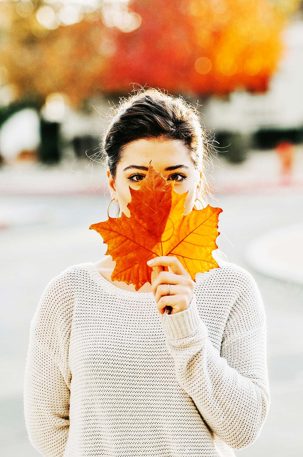 Fall Foliage Tours Guide Chasing Fall Foliage 22 Best Places