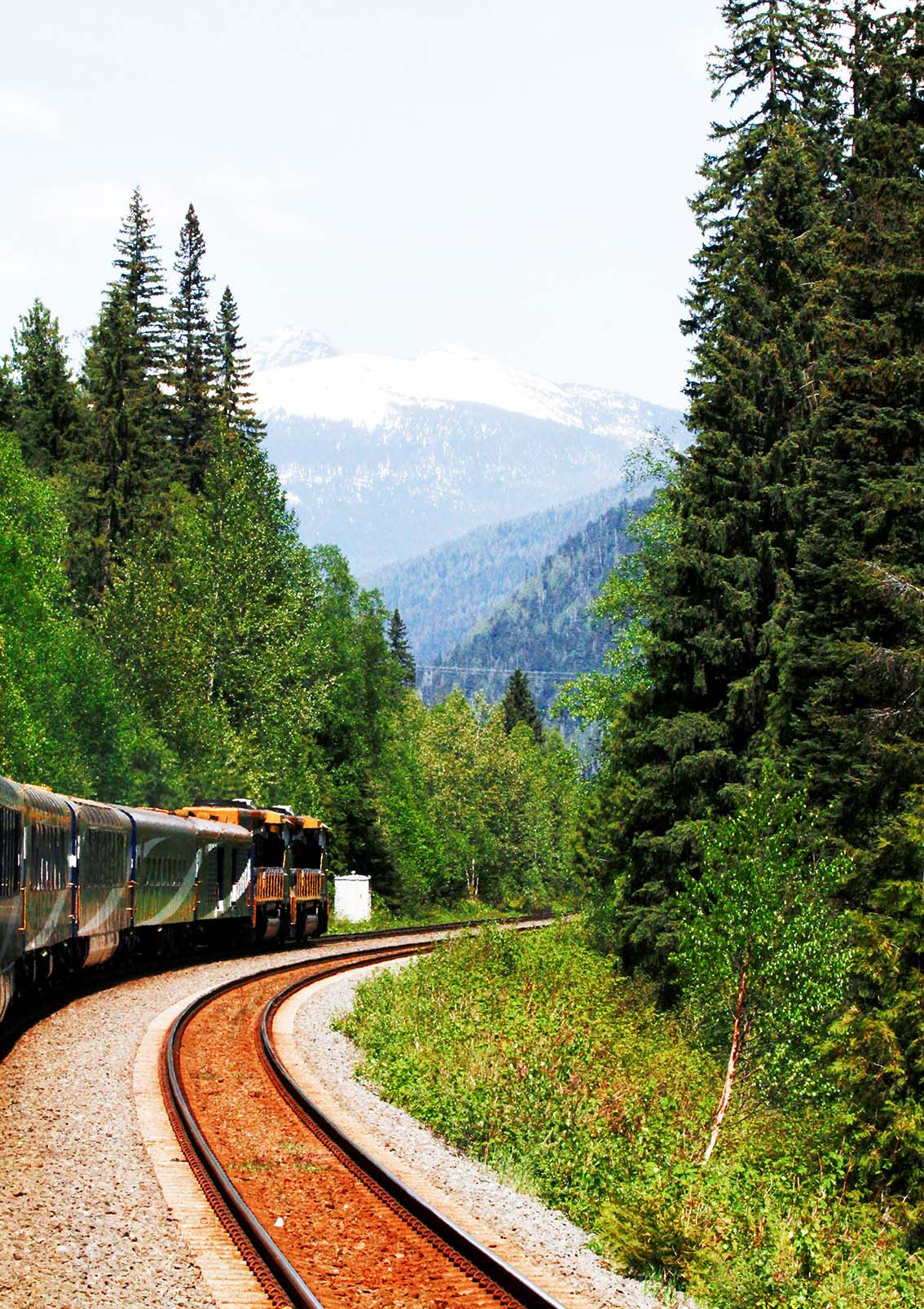 Scenic Train Rides to Capture Autumn’s Beauty 7 Best...