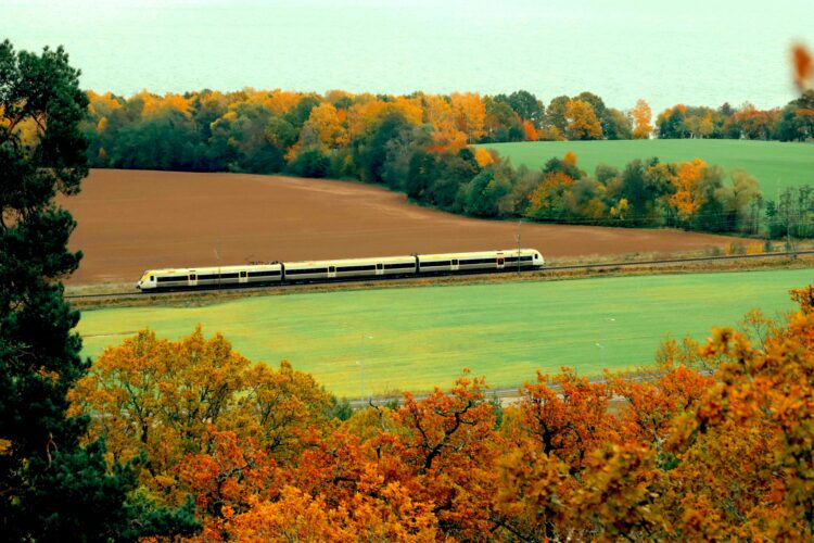 Scenic Train Rides to Capture Autumn’s Beauty 7 Best...
